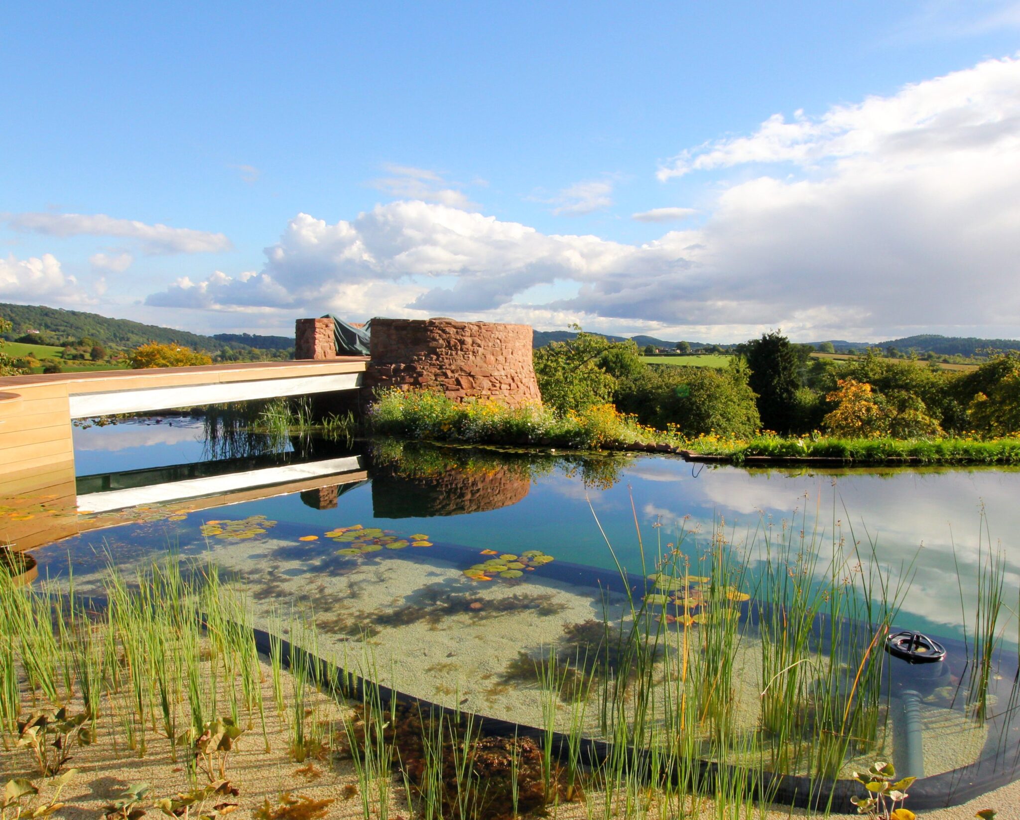 How to Build a DIY Swimming Pond - The ultimate guide - CWR